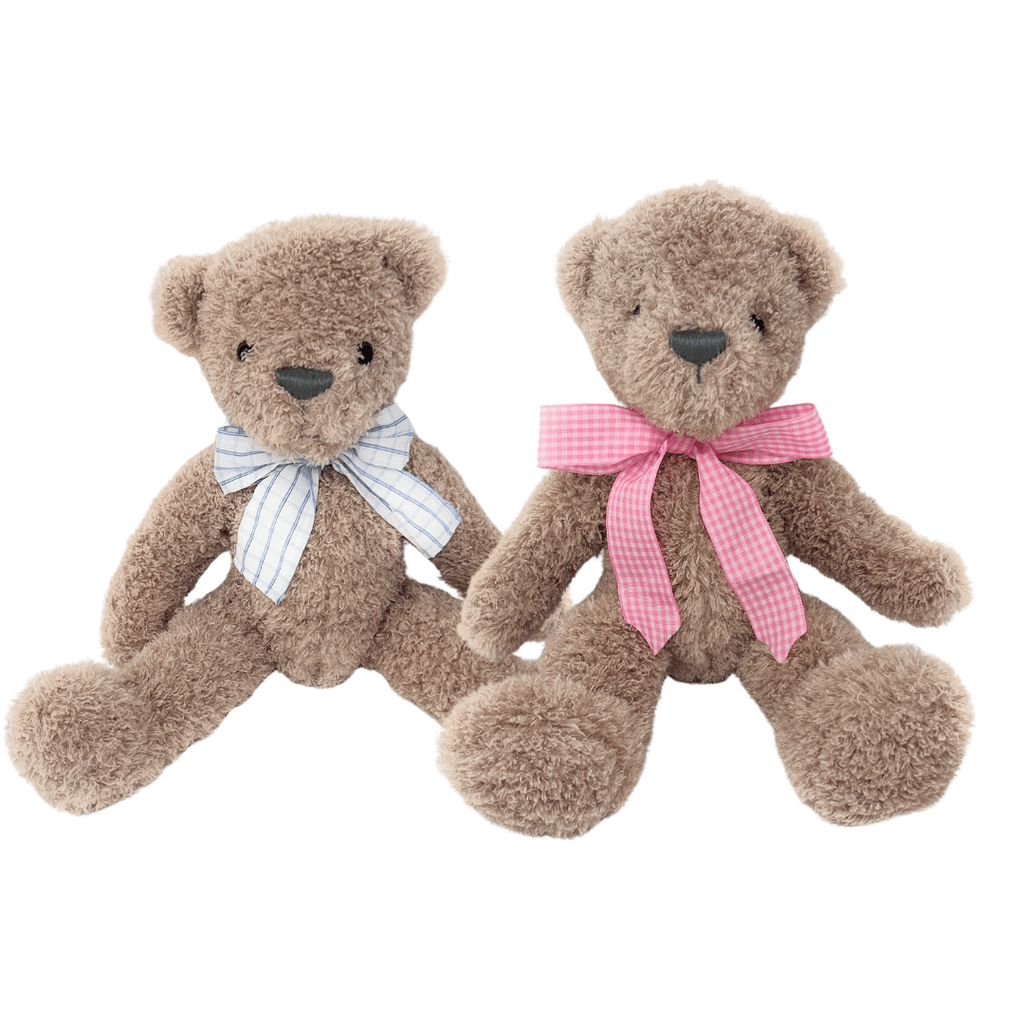 Gender Reveal Teddy Bear | Adorable Surprise Keepsake | Baby Riddle